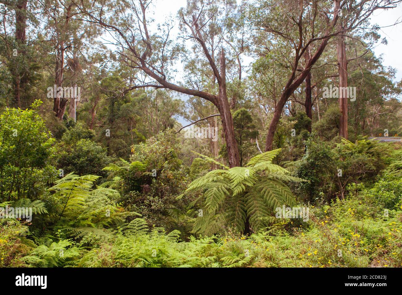 Fred Piper Memorial Lookout Australia Stock Photo - Alamy