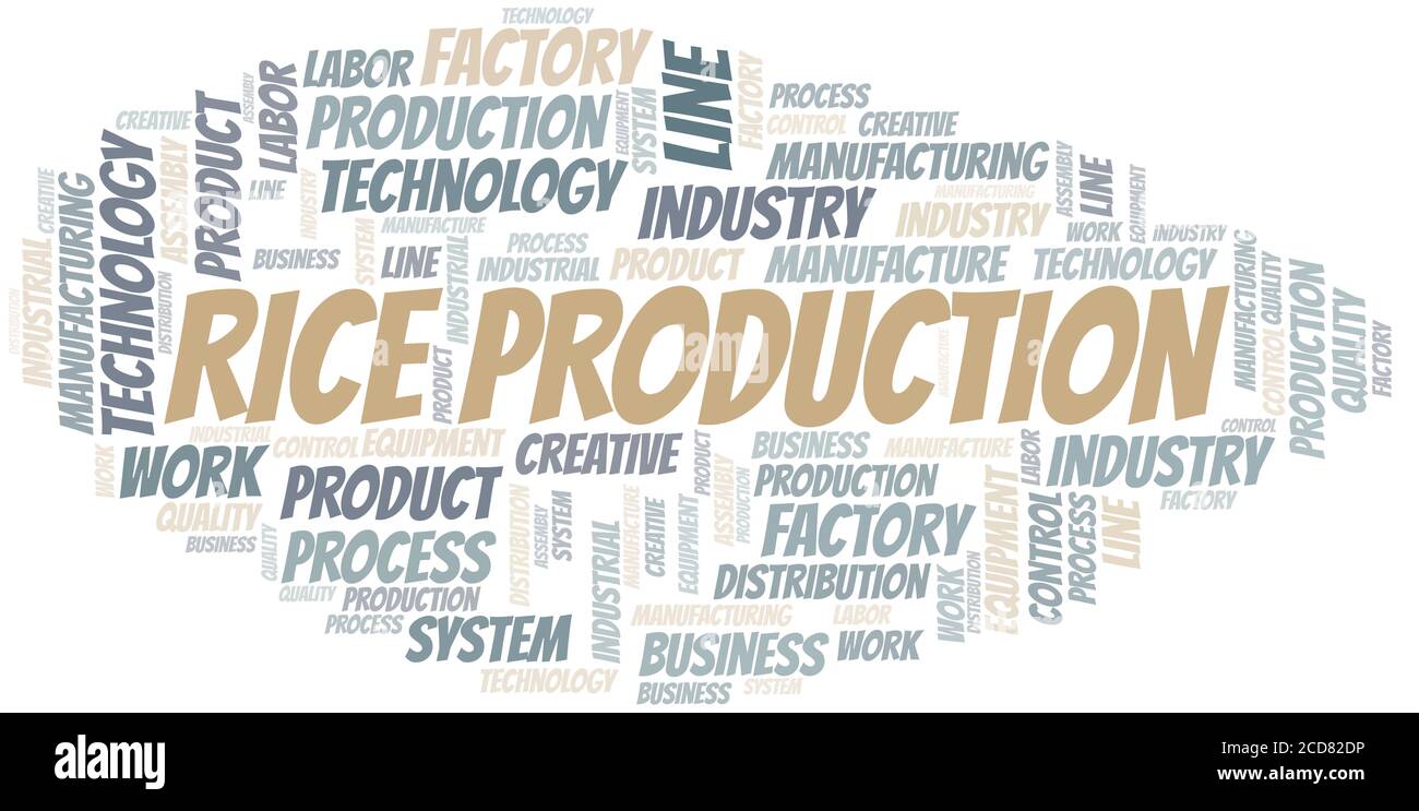 Rice Production word cloud create with the text only Stock Vector Image ...