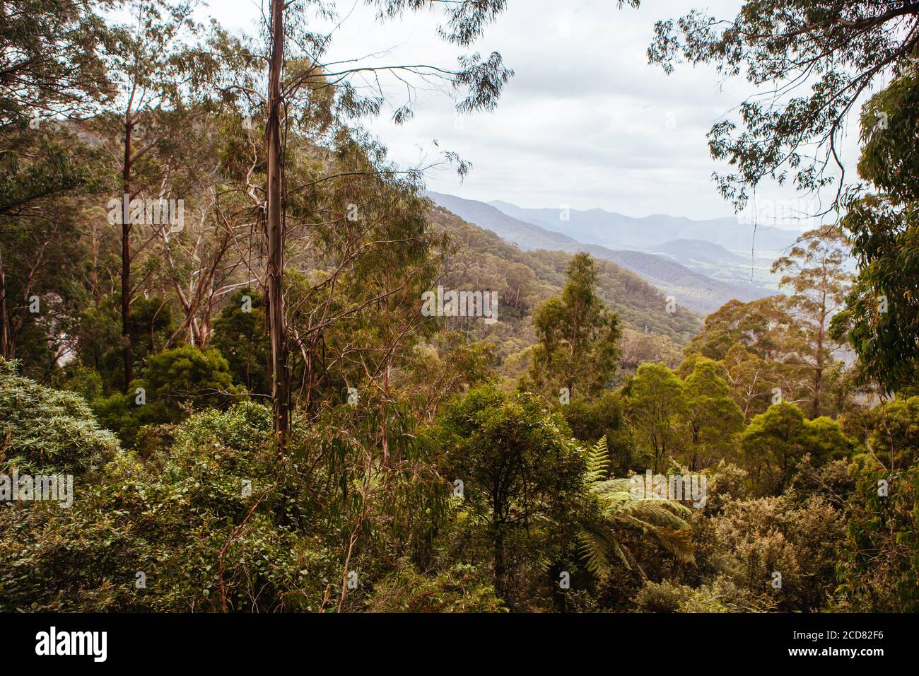 Fred Piper Memorial Lookout Australia Stock Photo - Alamy