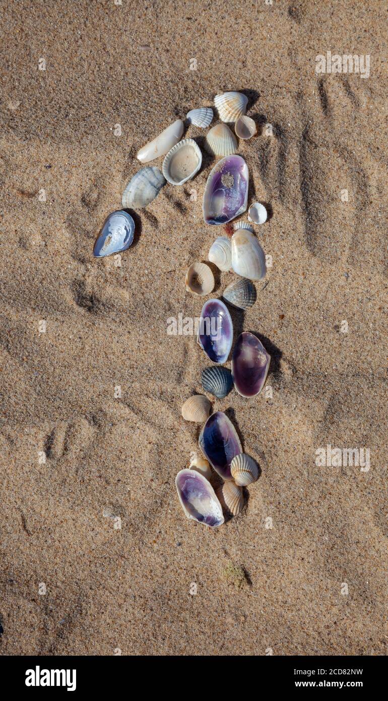 Number 1 laid out from seashells on the sand. Marine background. The ...
