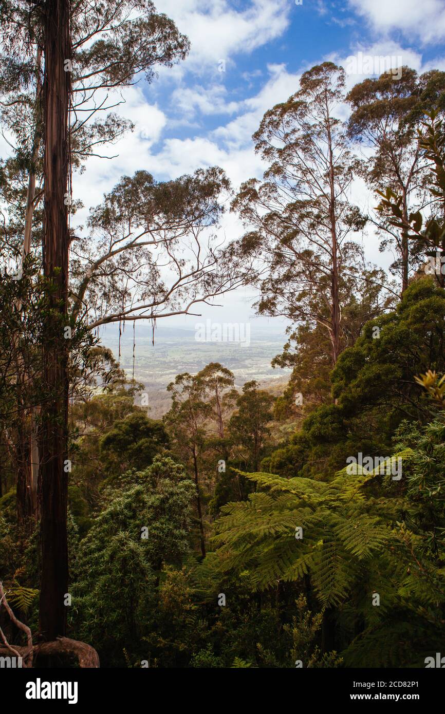 Fred piper hi-res stock photography and images - Alamy