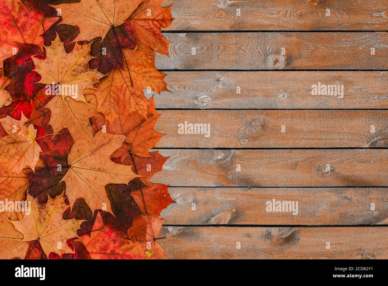 September background hi-res stock photography and images - Alamy