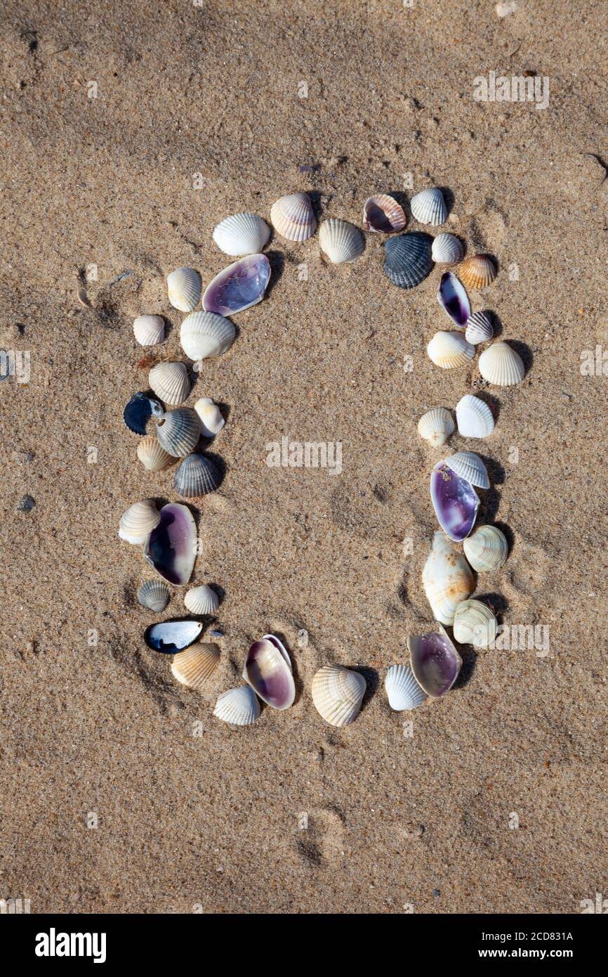 Number 0 laid out from seashells on the sand. Marine background. The ...