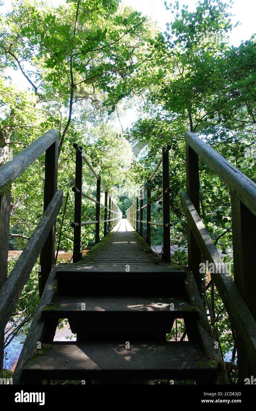 Walk Lambley Viaduct Stock Photo - Alamy