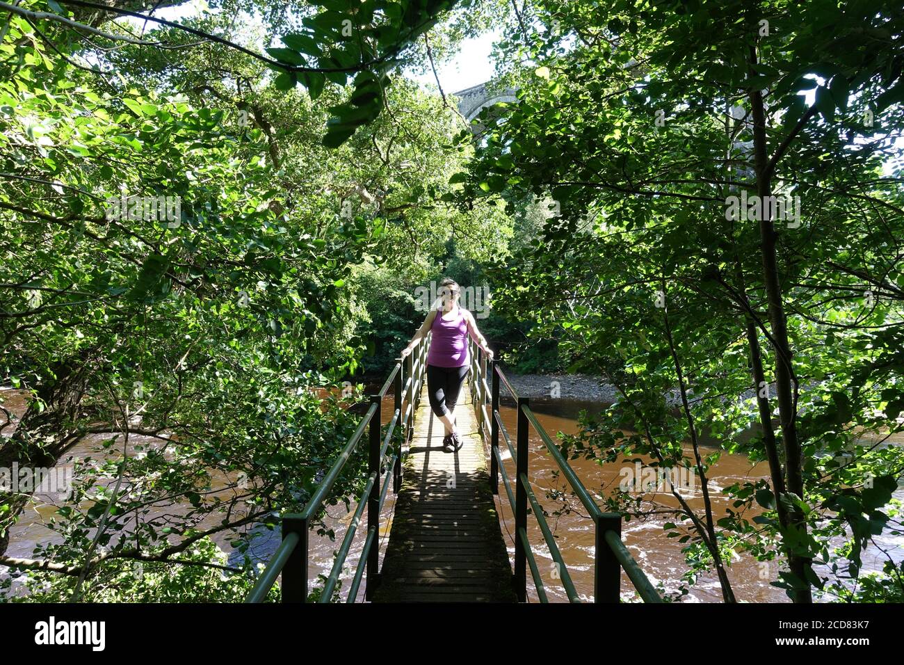 Walk Lambley Viaduct Stock Photo - Alamy