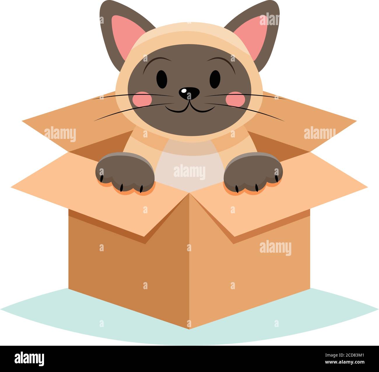 Adopt a pet - cute cat in a box, isolated on white background Stock ...