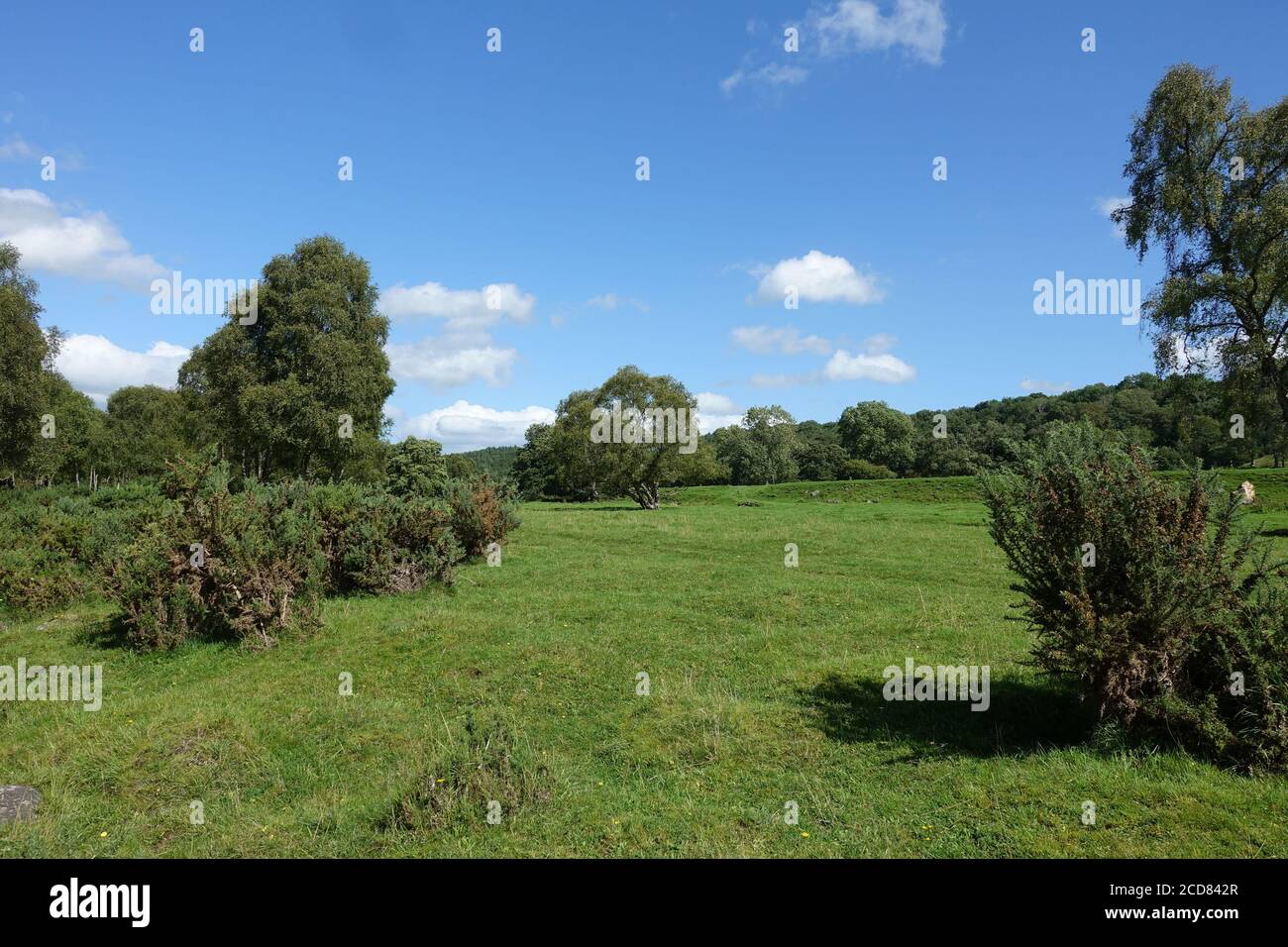 Walk Lambley Viaduct Stock Photo - Alamy