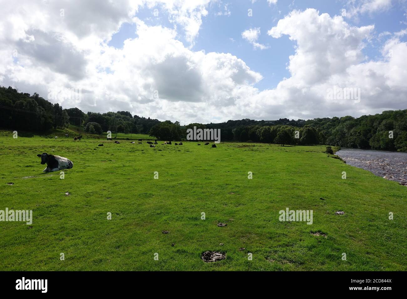 Walk Lambley Viaduct Stock Photo - Alamy