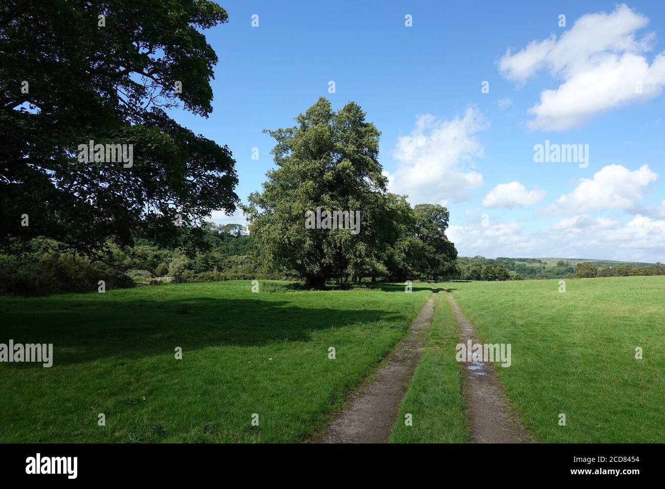 Walk Lambley Viaduct Stock Photo - Alamy
