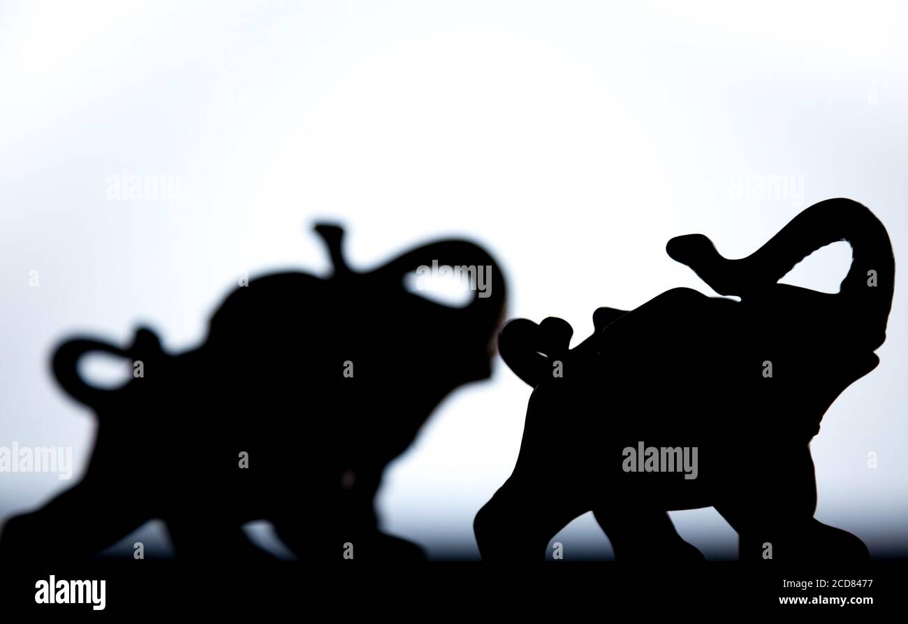 black elephant shadow with white background Stock Photo - Alamy