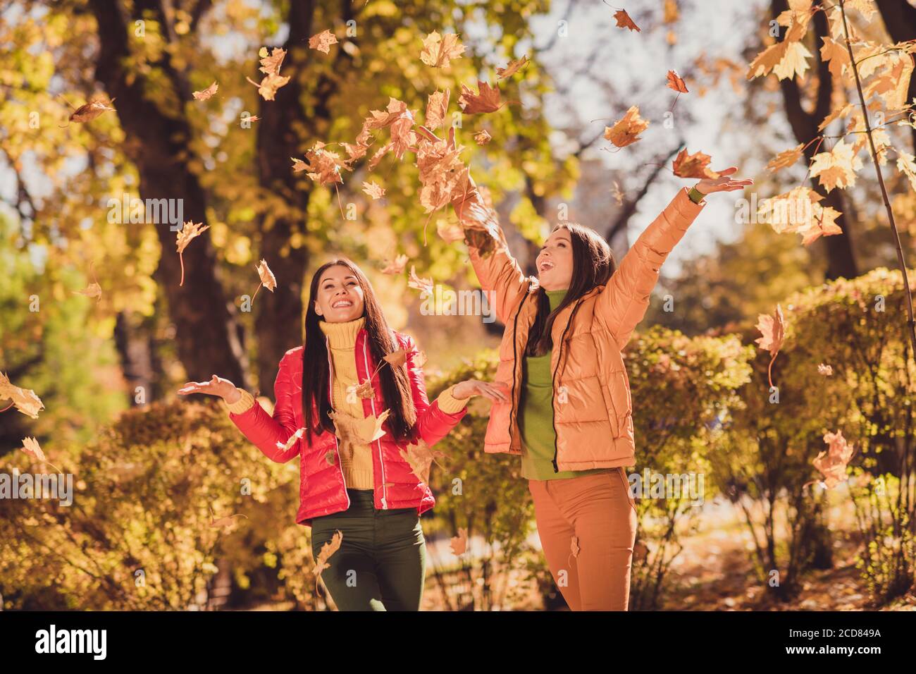 Autumn weekend fun time concept. Positive girls buddies enjoy throw catch air fly maple leaves ...