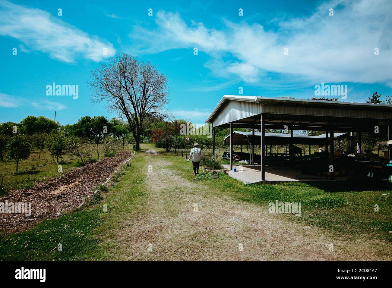 Landscape shots at a community farm in Roanoke, Texas country side in ...