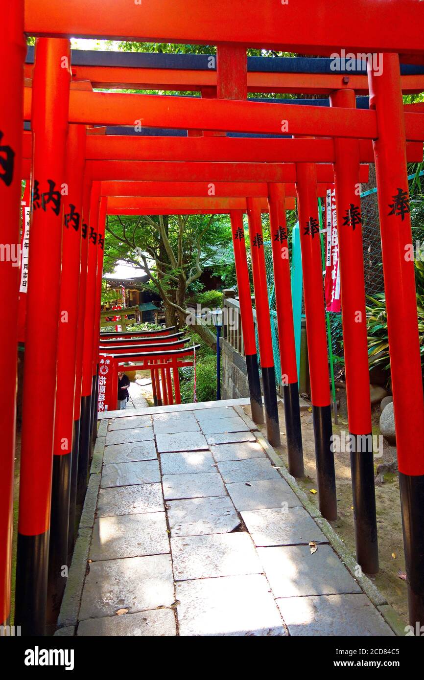 Vertical shot of Fushimi Inari gates Stock Photo - Alamy