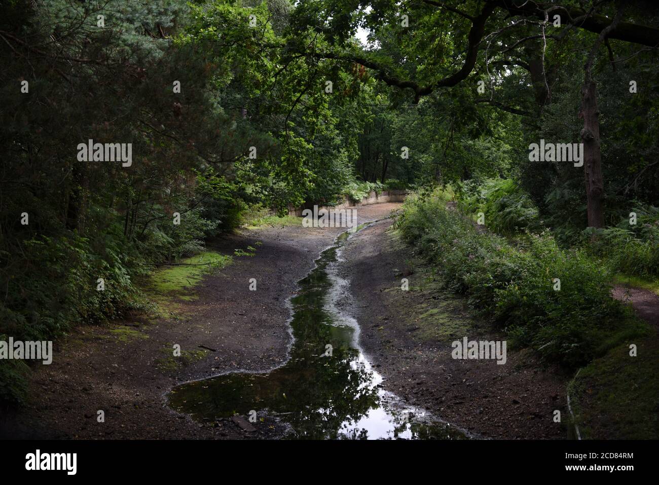 Empty canal hi-res stock photography and images - Alamy