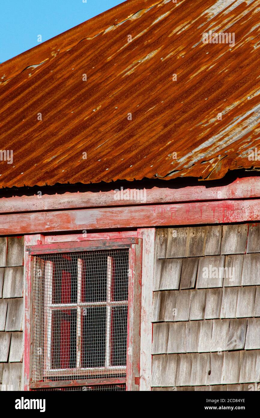 Old fishing shed with rusted metal roof, faded paint, and wood cedar ...