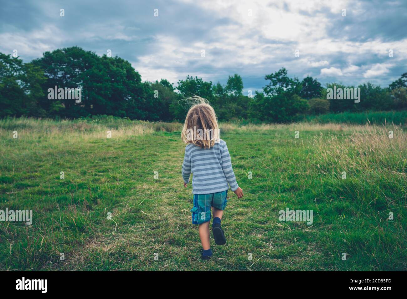 A little preschooler is running in a meadow Stock Photo - Alamy