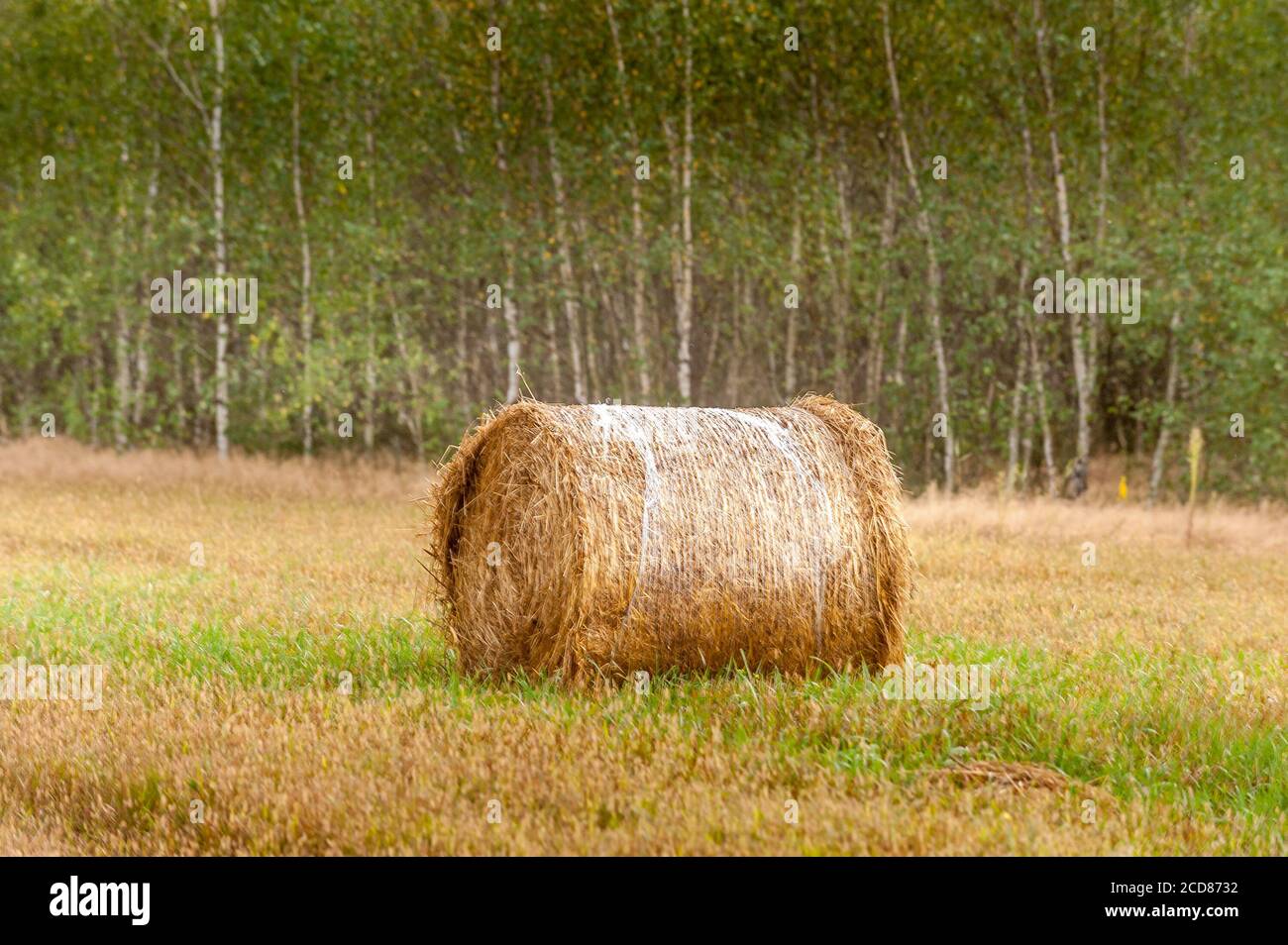 Agricultural object hi-res stock photography and images - Alamy