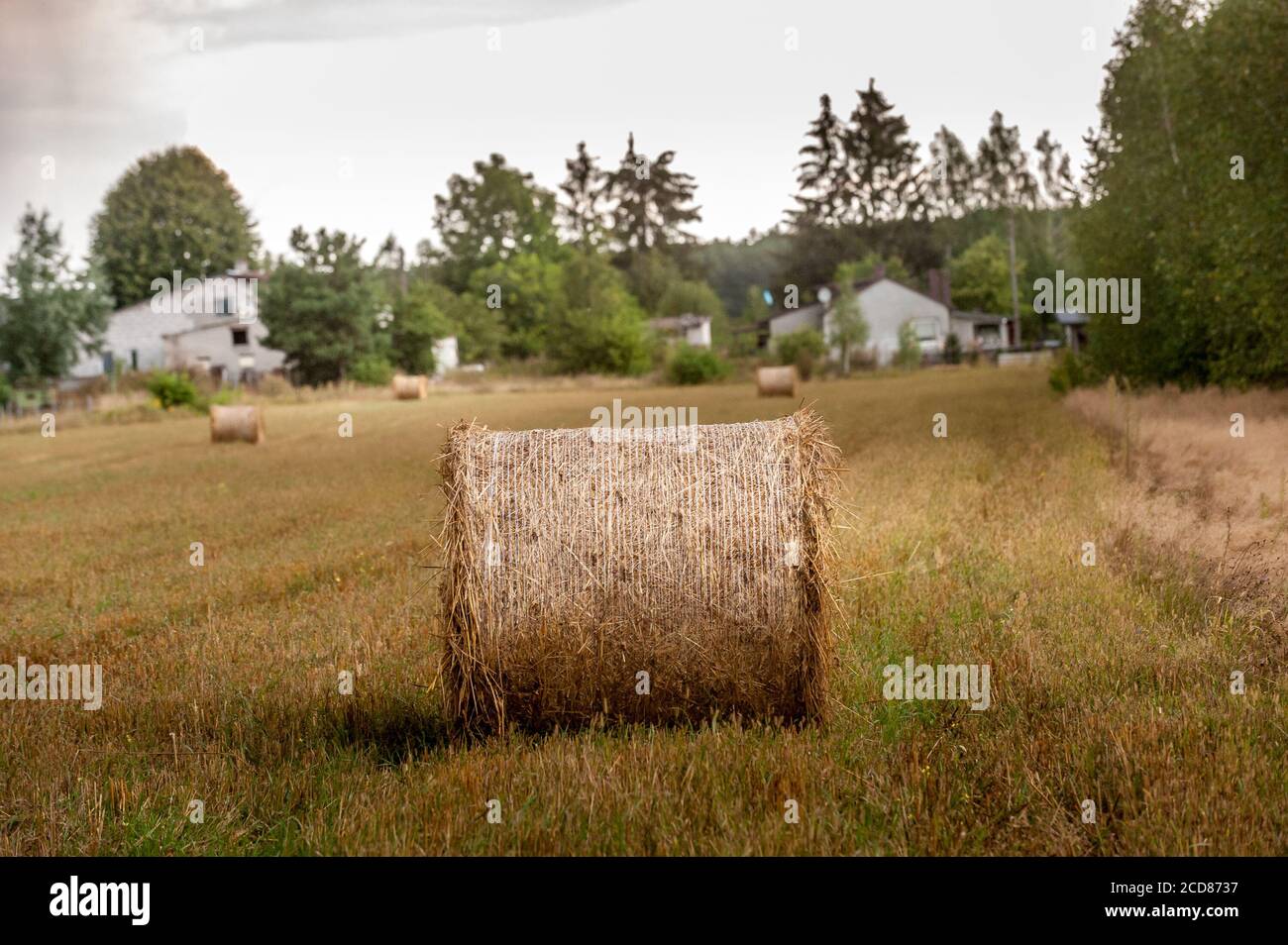 Hay bales on flat hi-res stock photography and images - Alamy