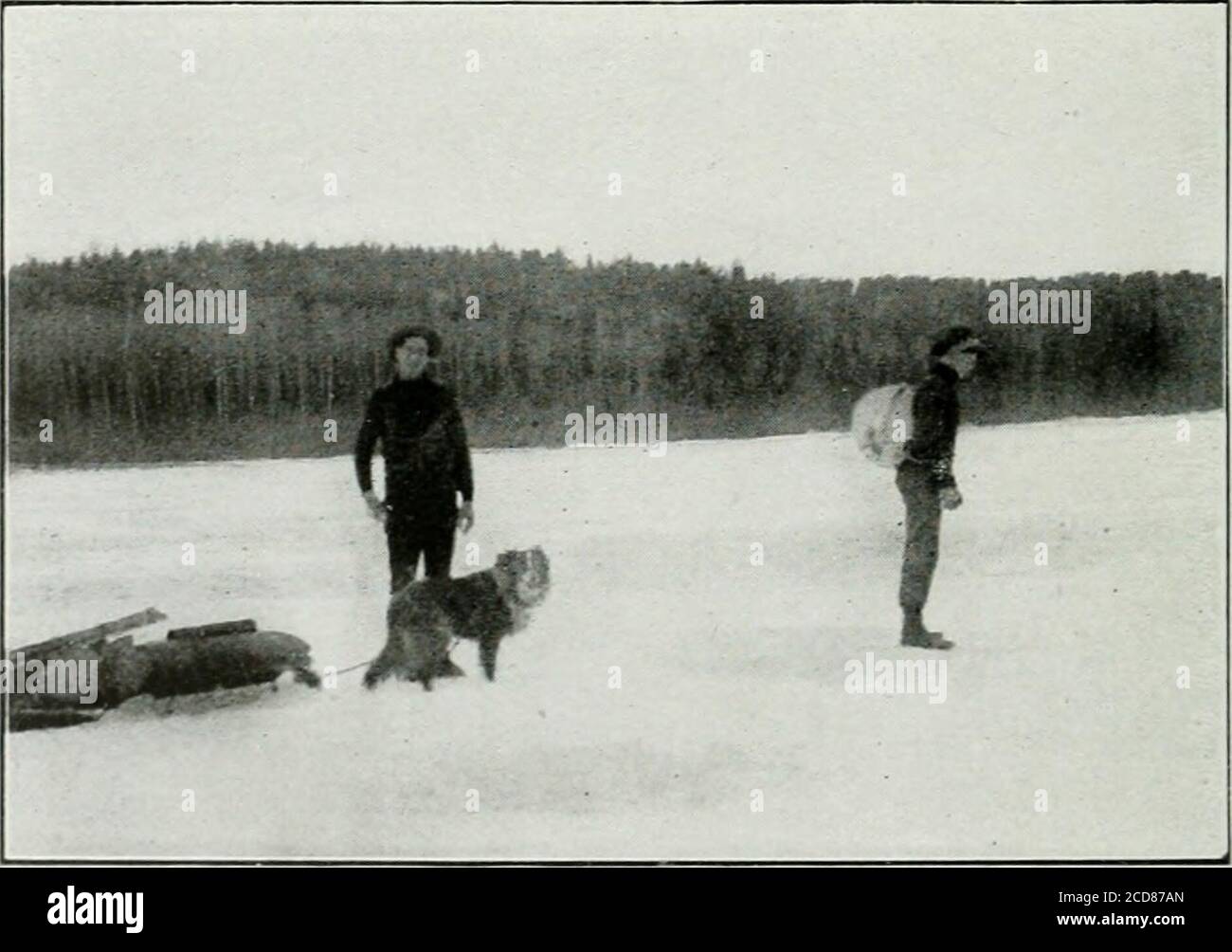 Temagami forest reserve hi-res stock photography and images - Alamy
