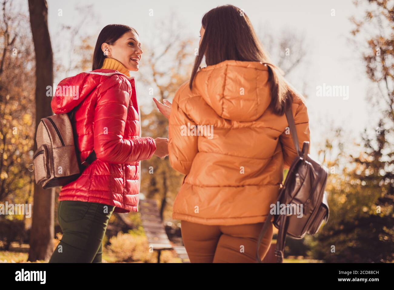 Back rear spine view photo of two girls students fellows travel city ...