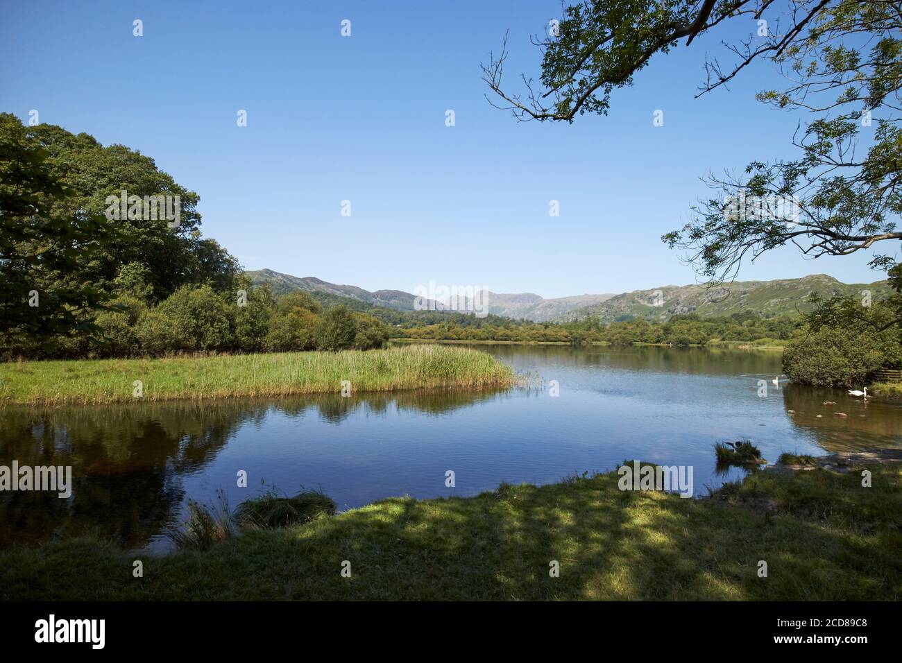elterwater in great langdale lake district england uk Stock Photo - Alamy