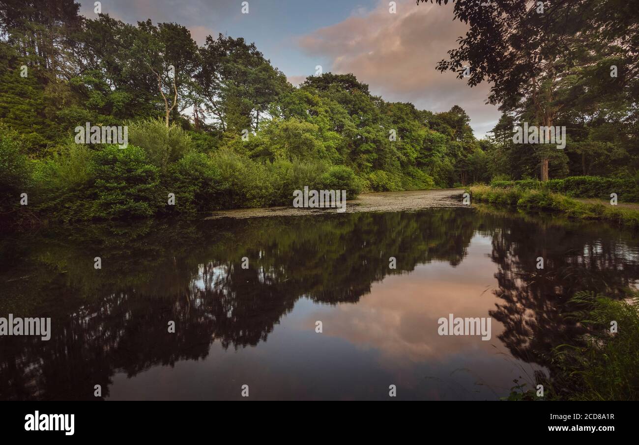 Craig y nos country park hi-res stock photography and images - Alamy