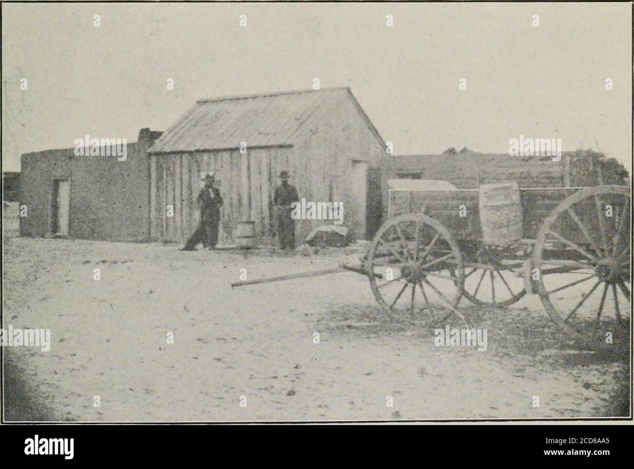 . Mormon settlement in Arizona : a record of peaceful conquest of the ...