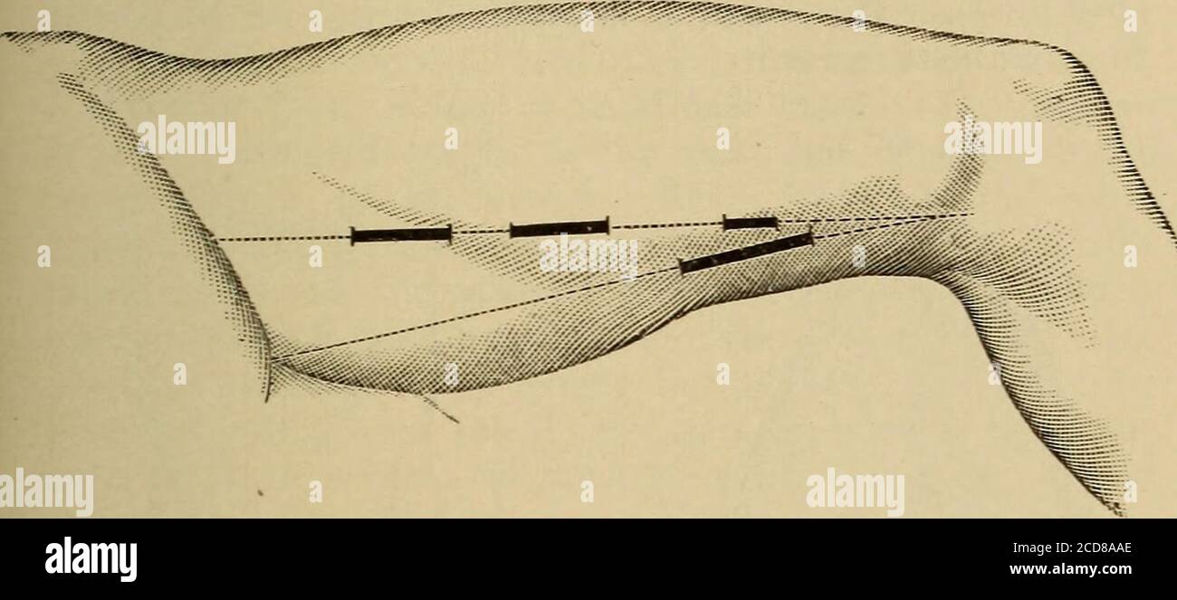 . Minor and operative surgery, including bandaging . Relations of the ...