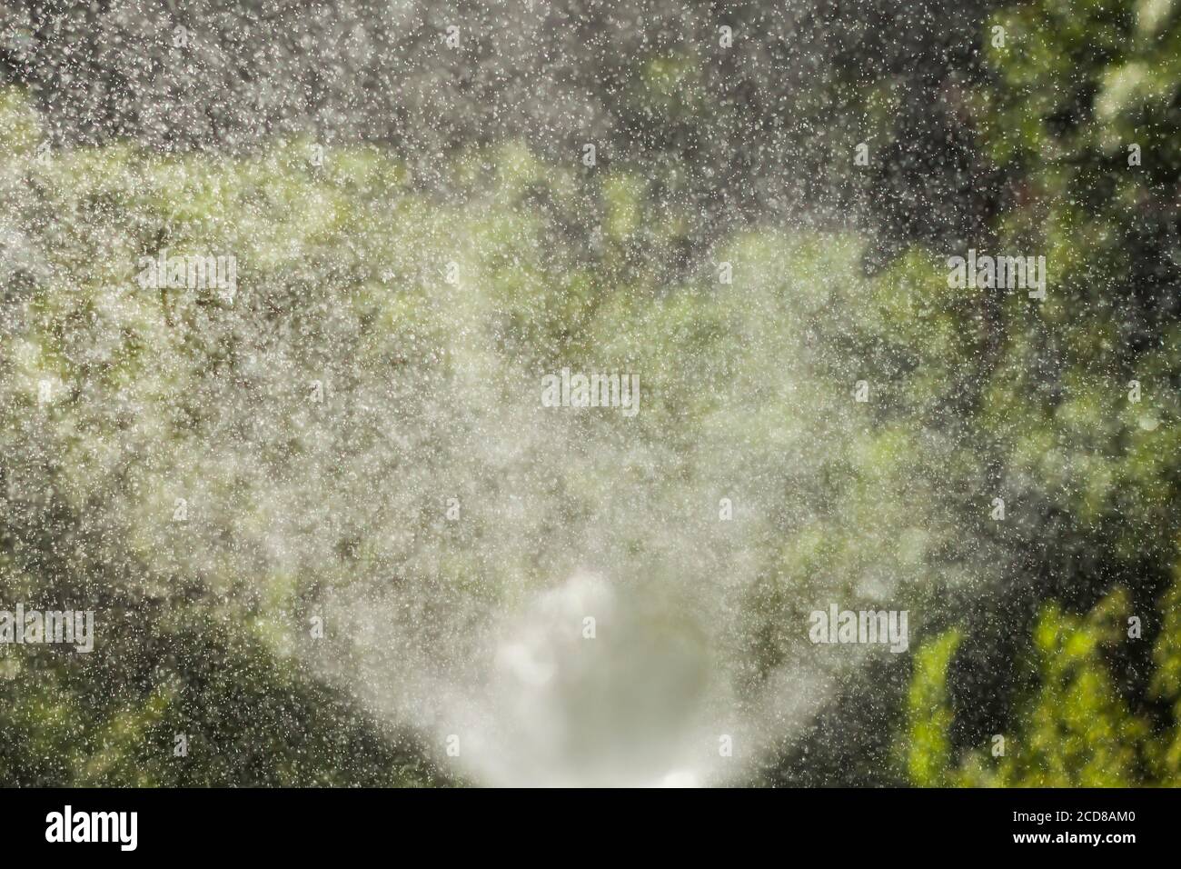 Splashing water forming a mist against a green background Stock Photo ...