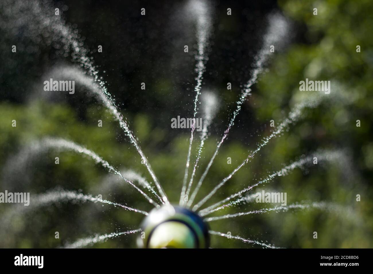 Water jets leaving the tip from the garden hose. Watering the plants ...