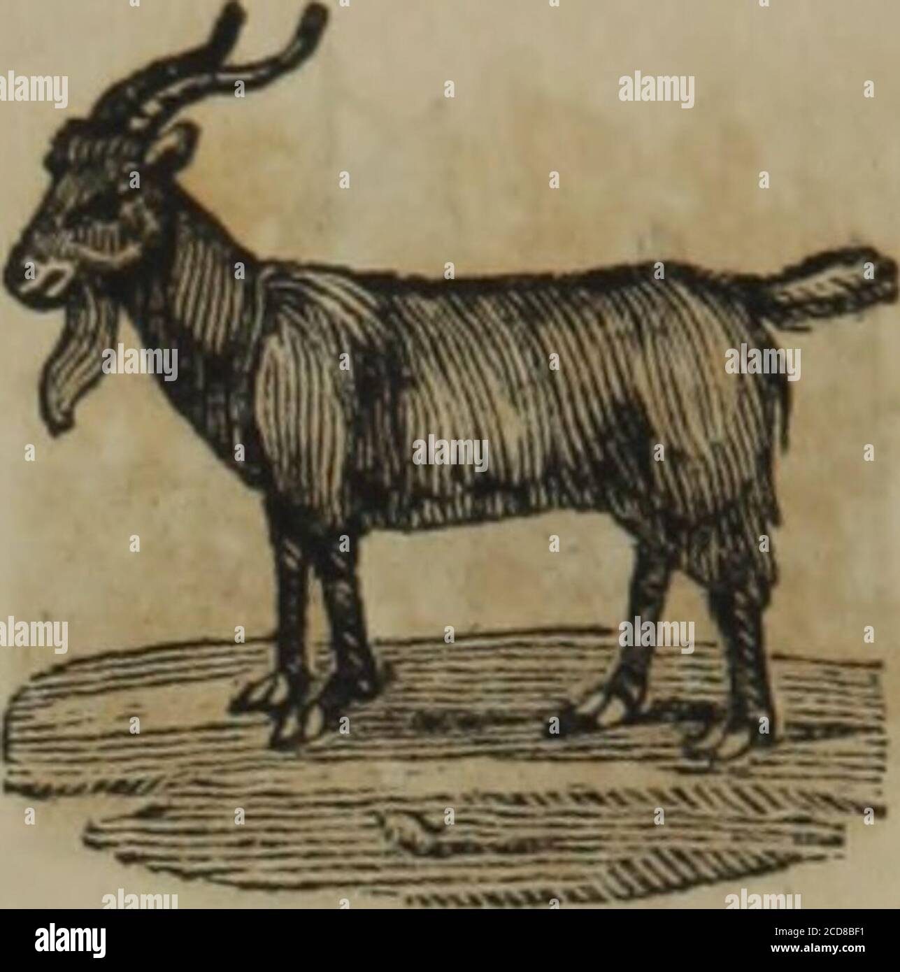 . Elementary exercises for the deaf and dumb . File [ M ] (10/A ...