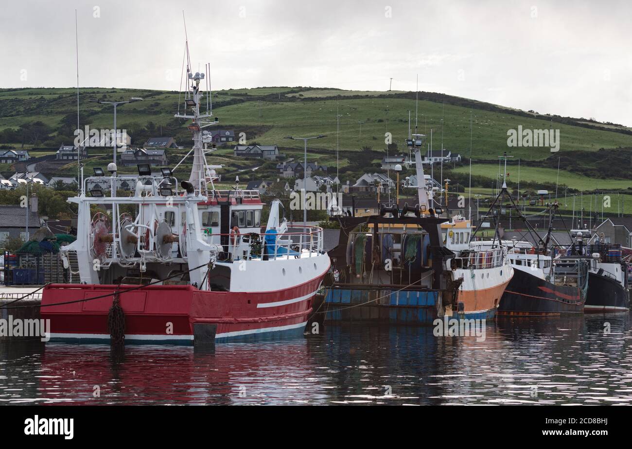 commercial fishing boats docked in Dingle harbour in county Kerry ...