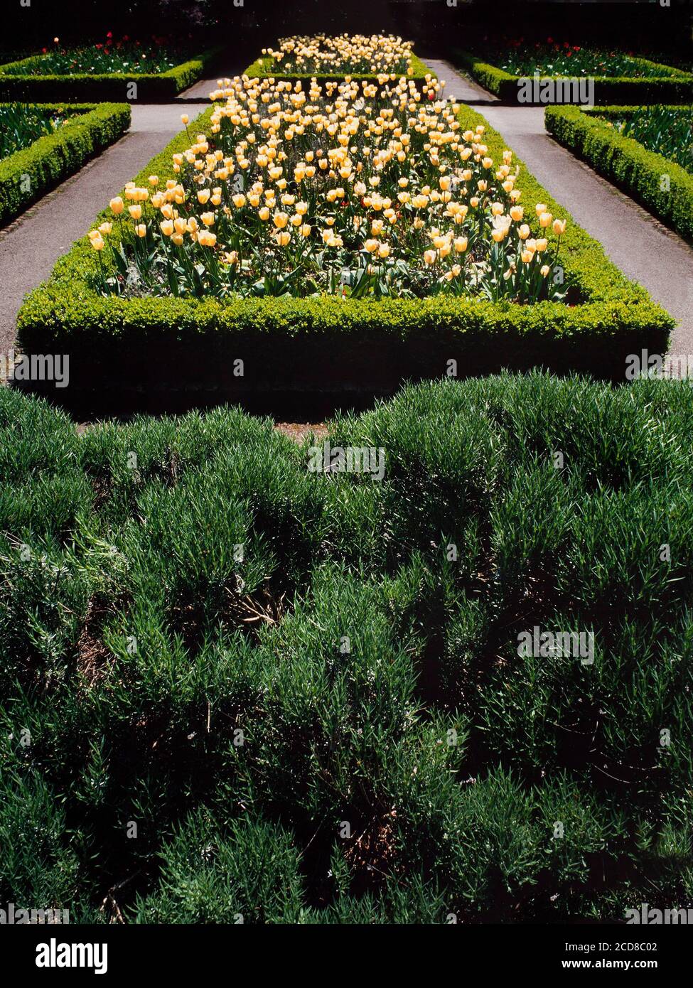 Buxus borders hi-res stock photography and images - Alamy