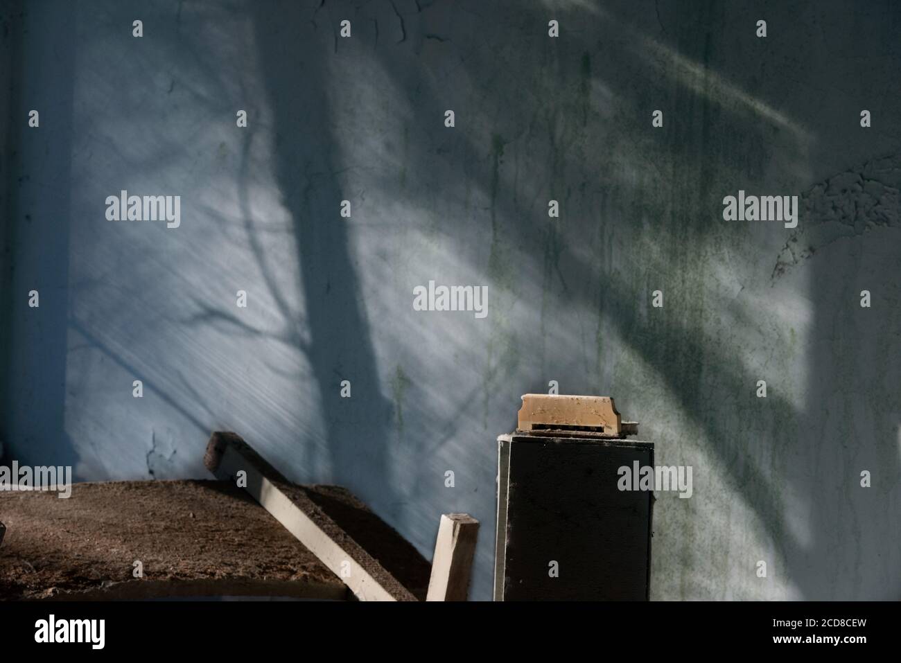 Shadows of trees on the wall of a destroyed building in the city of ...