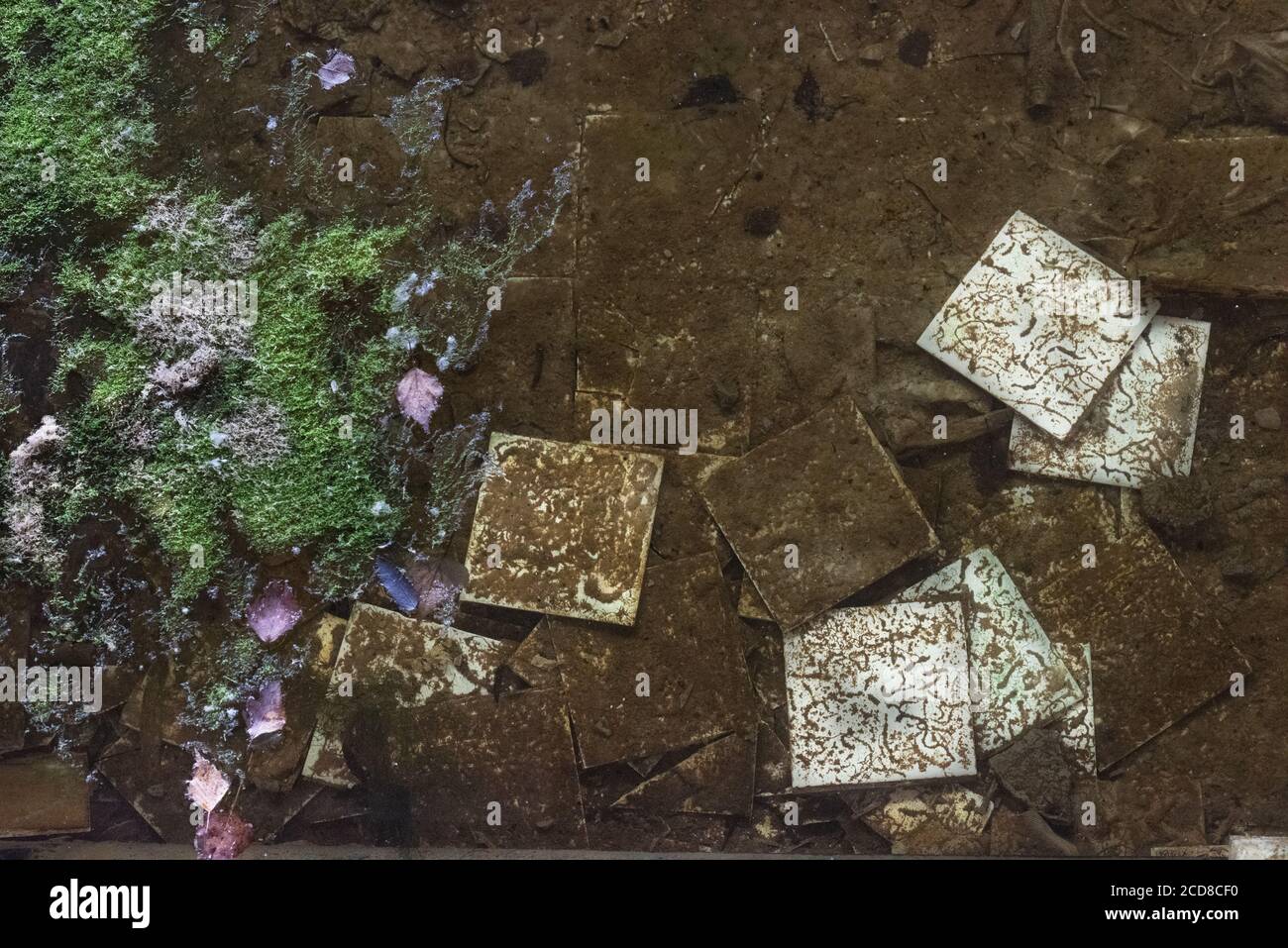 Destroyed tiles inside a radioactive building in the city of Pripyat ...