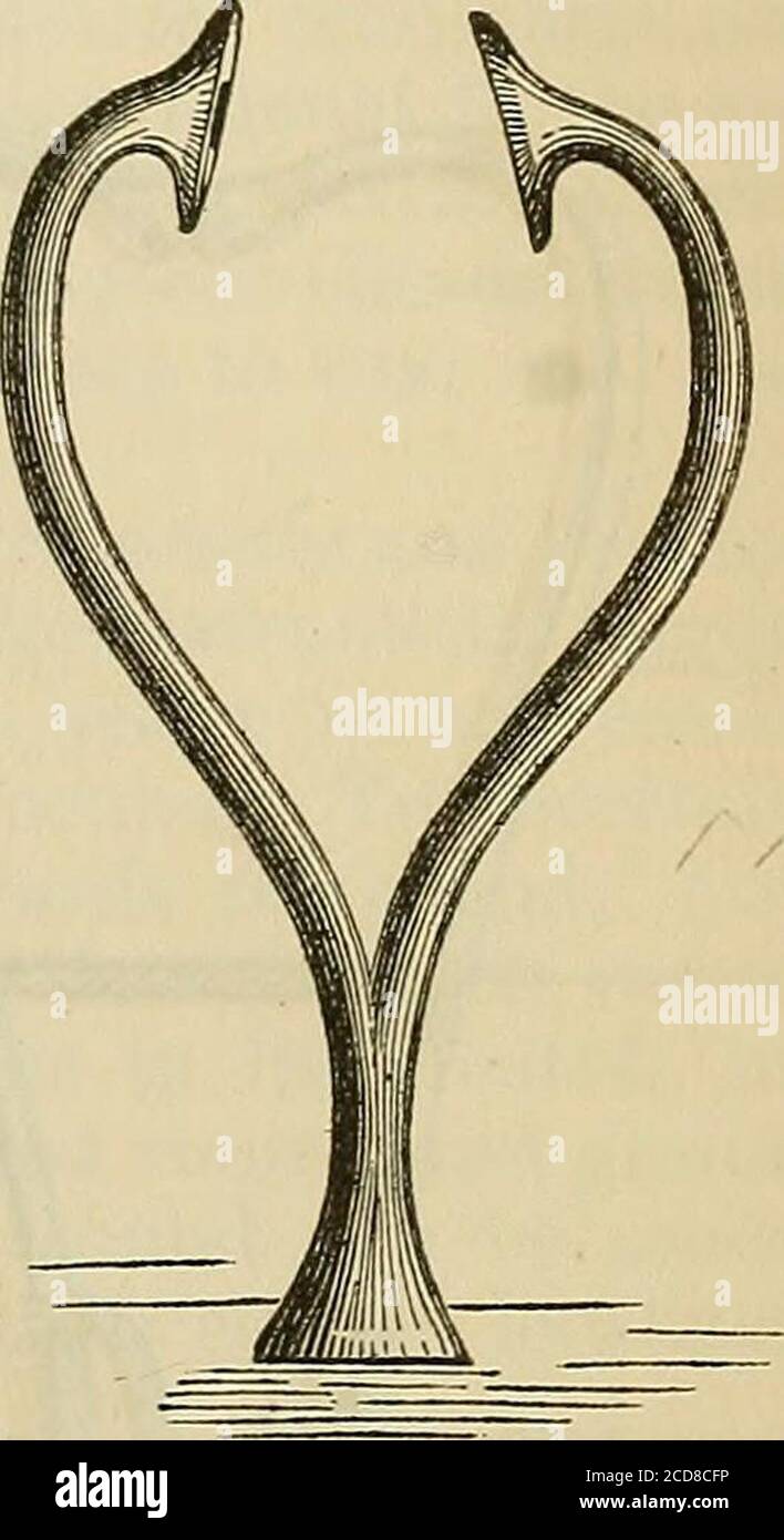 . The science and practice of medicine . the double or bin-aural ...