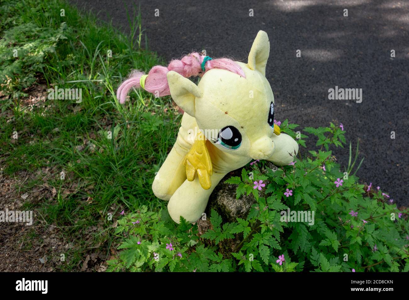 Adorable features hi-res stock photography and images - Alamy
