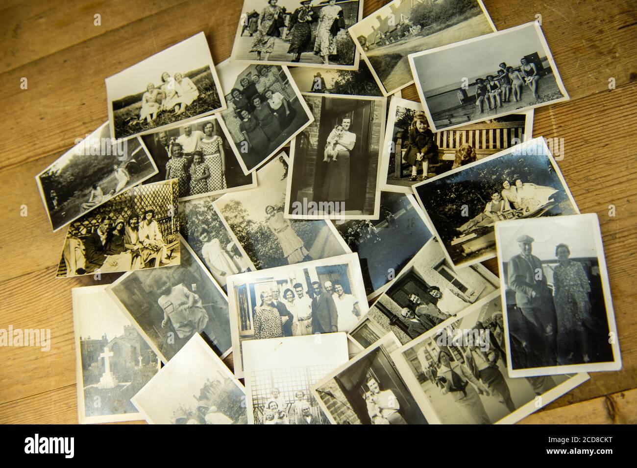 Family tree ancestry hi-res stock photography and images - Alamy