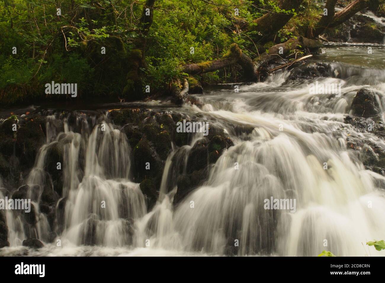 Fast flowing river rocks trees hi-res stock photography and images - Alamy