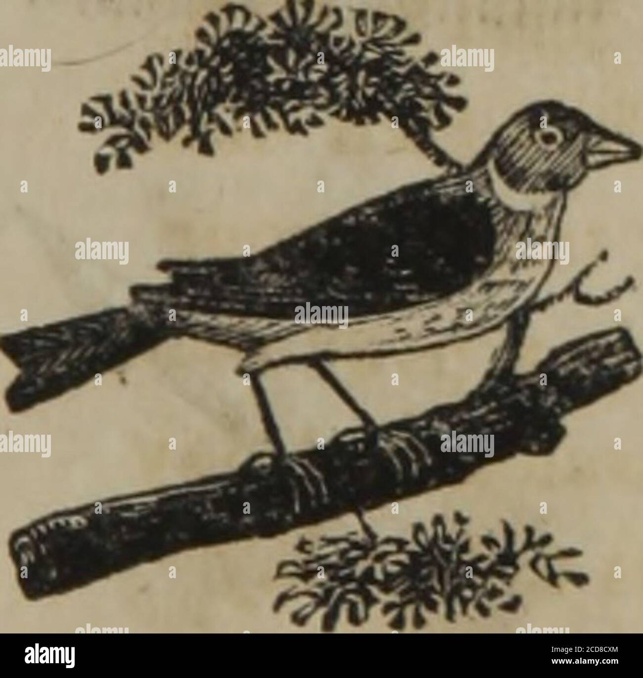 . Elementary exercises for the deaf and dumb . Bird Stock Photo - Alamy