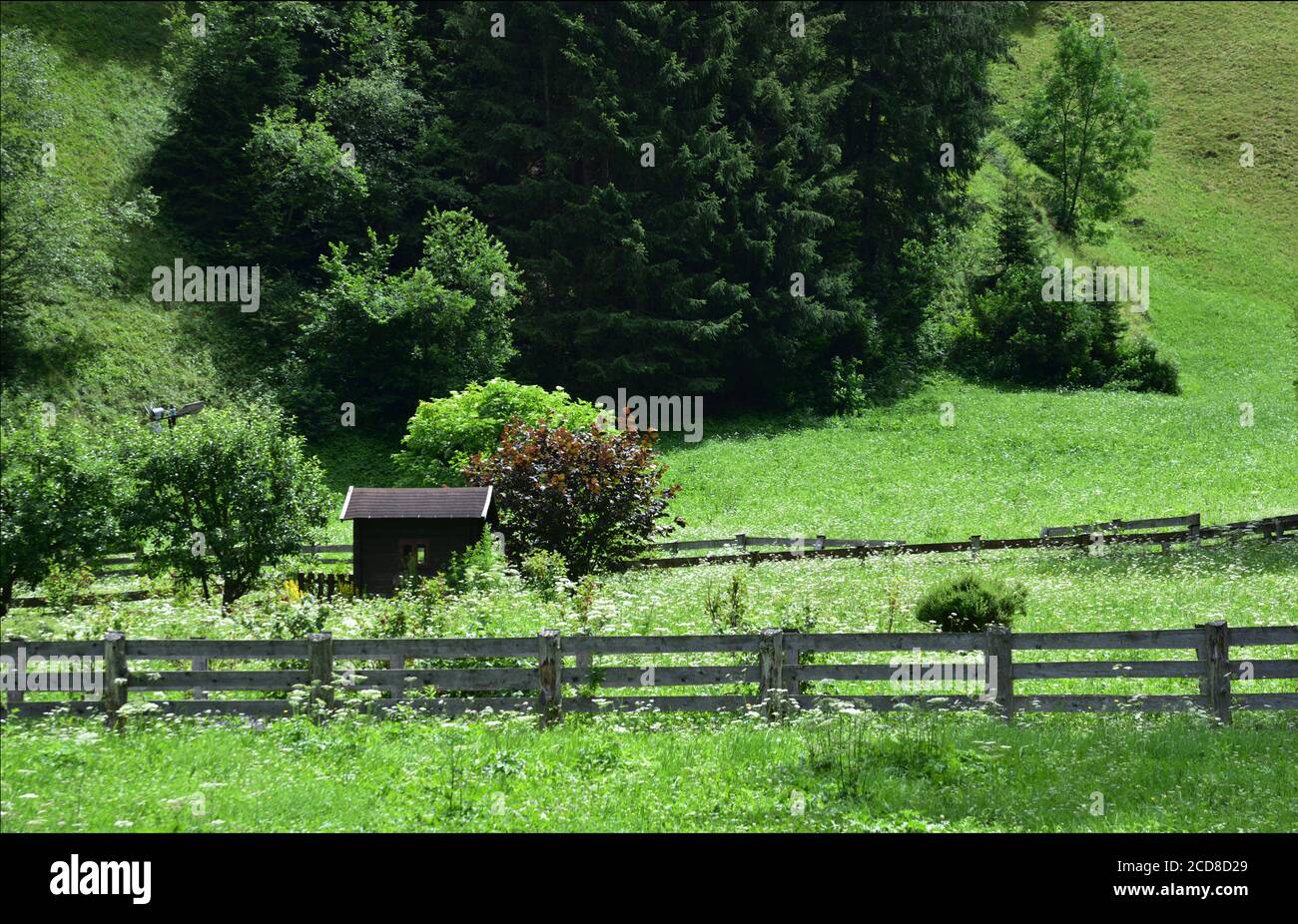 Flowery meadows hi-res stock photography and images - Alamy