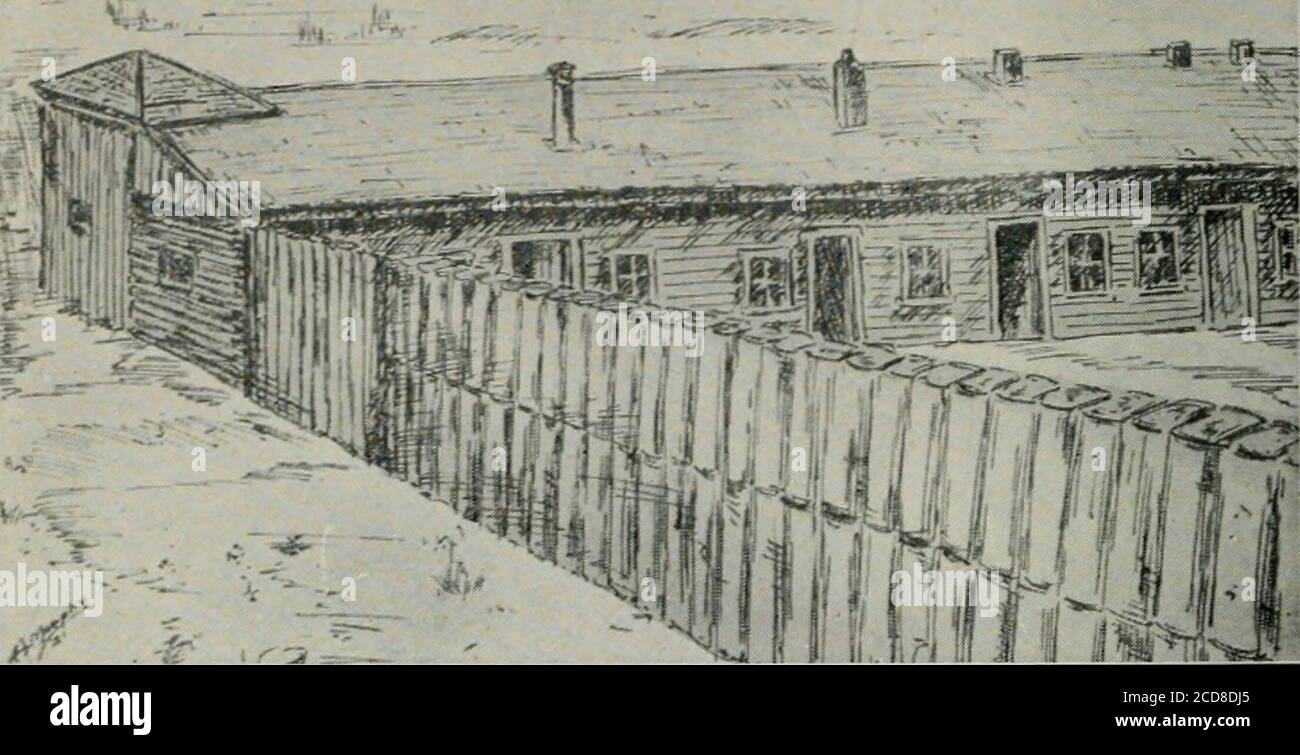 . Mormon settlement in Arizona : a record of peaceful conquest of the ...