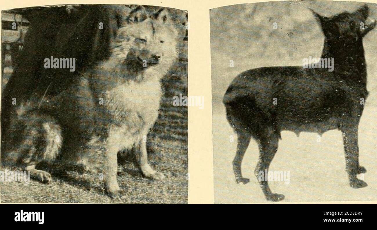 Potassium permanganate solution hi-res stock photography and images - Alamy