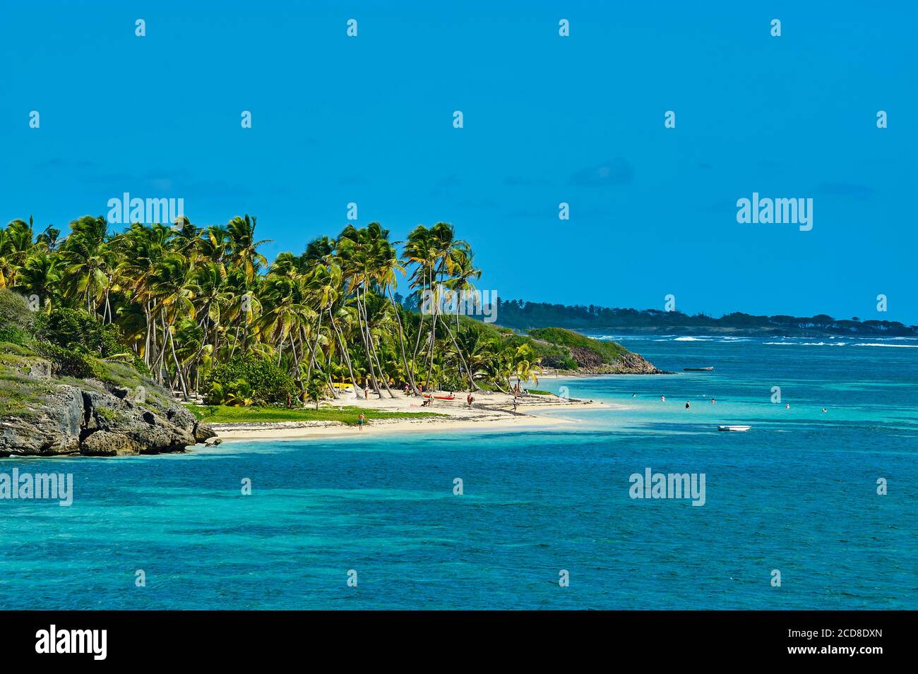 France, Martinique, Cap Chevalier, Anse Michel beach Stock Photo - Alamy