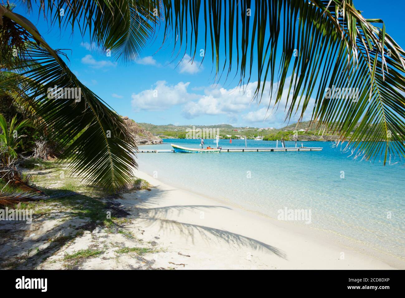 France, Martinique, Cap Chevalier, Anse Michel beach Stock Photo - Alamy