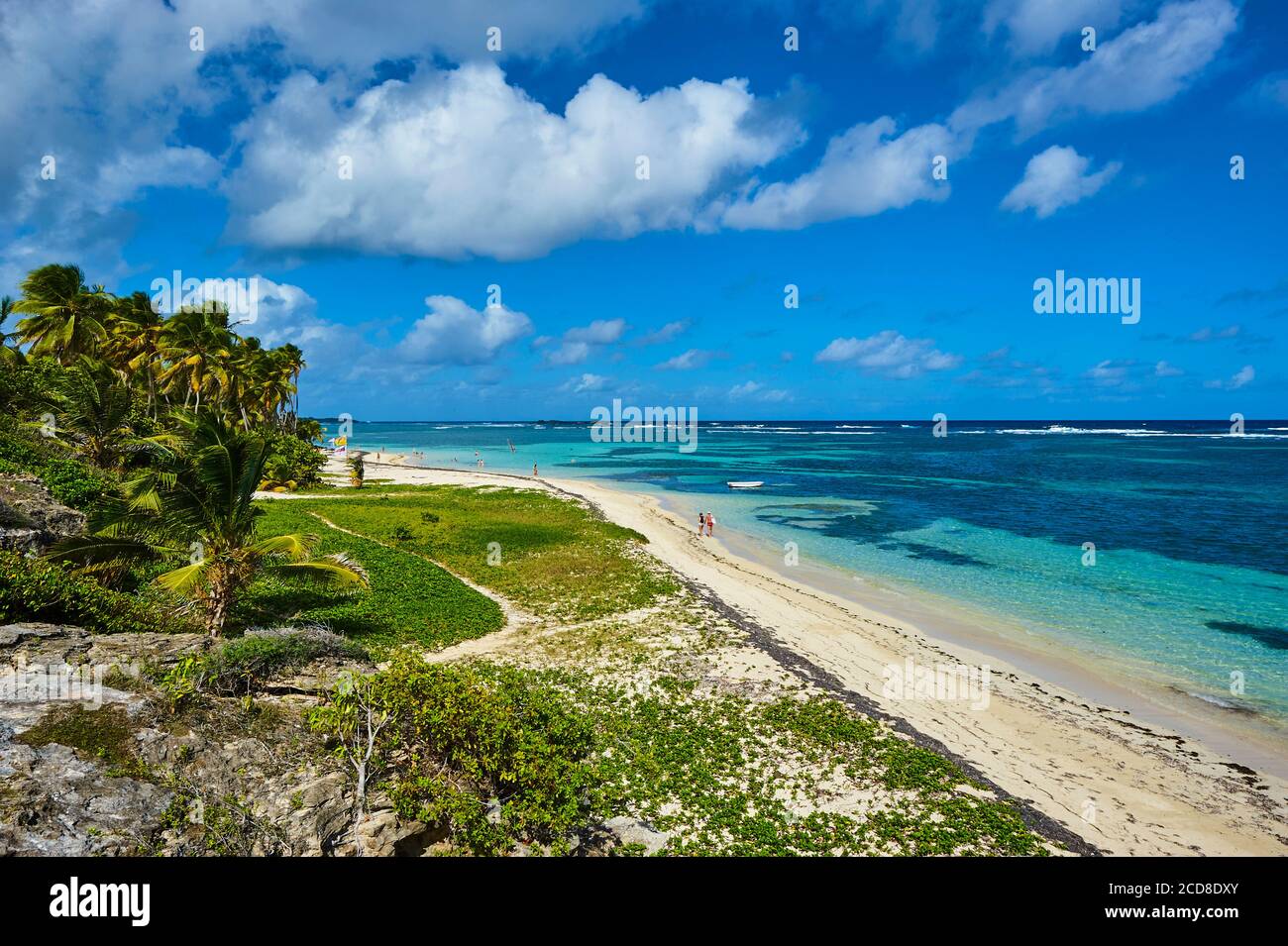 France, Martinique, Cap Chevalier, Anse Michel beach Stock Photo - Alamy