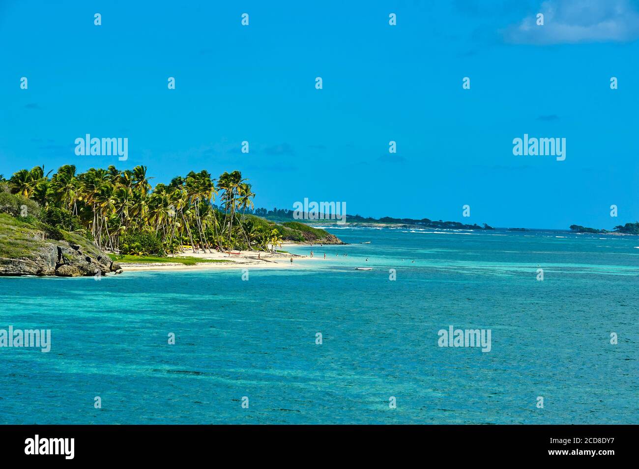 France, Martinique, Cap Chevalier, Anse Michel beach Stock Photo - Alamy