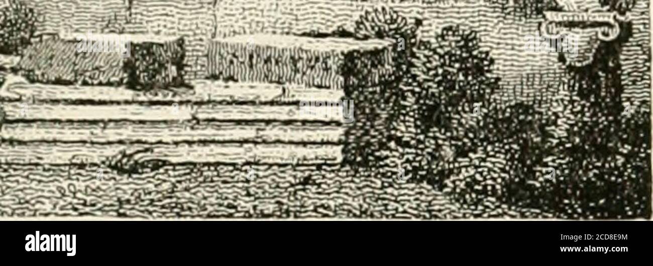 Tavistock Abbey High Resolution Stock Photography and Images - Alamy