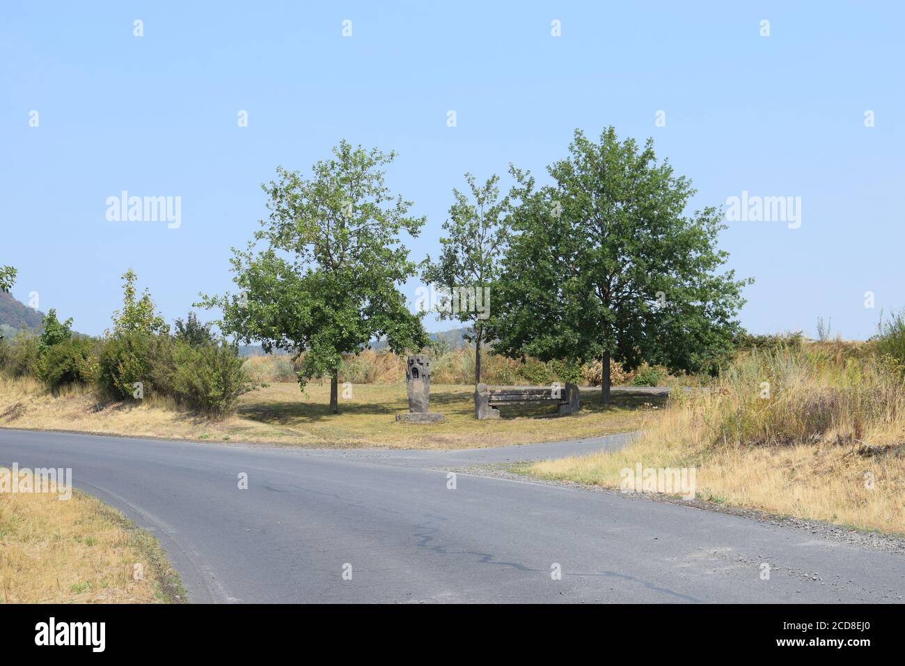 Curvy road trees row hi-res stock photography and images - Alamy