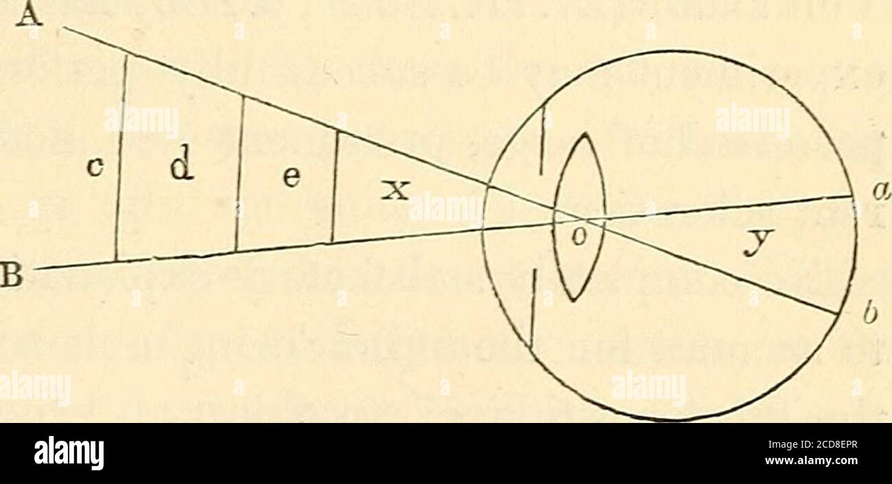. Hand-book of physiology . ose to the eye,having little power to ...